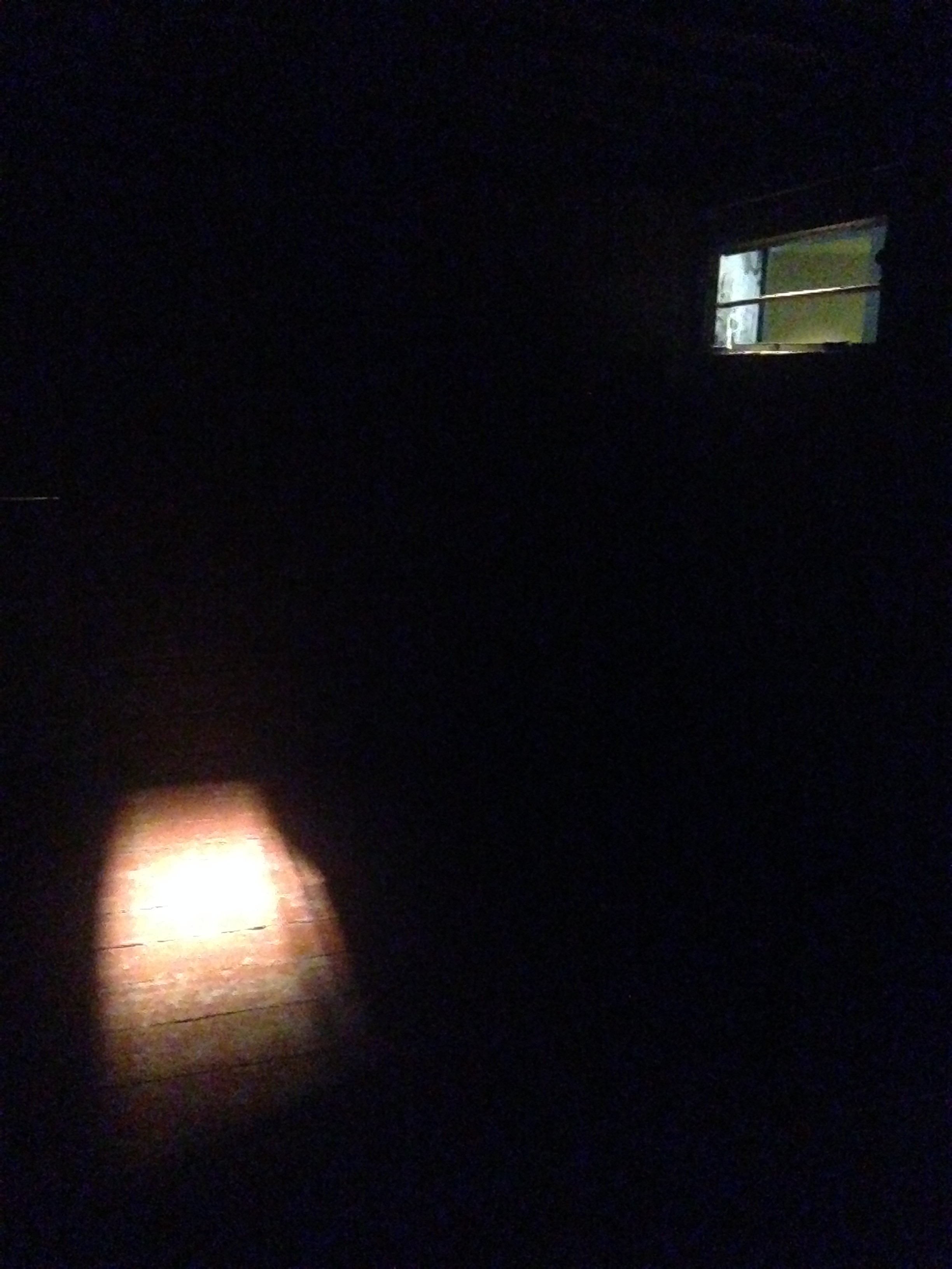 Eyewitness to the Holocaust: Museums and Survivor Testimony - Holocaust ...
