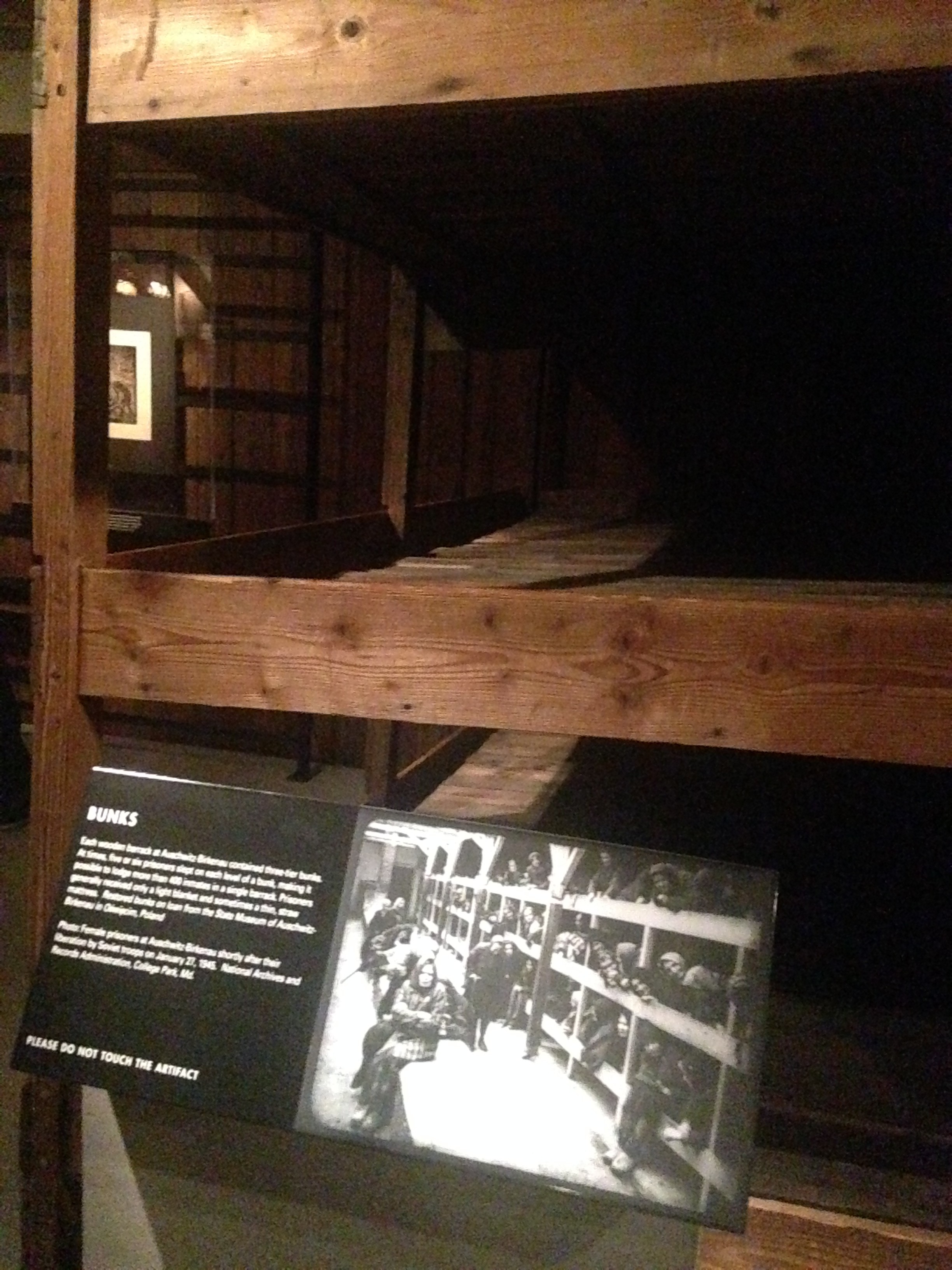 Eyewitness to the Holocaust: Museums and Survivor Testimony - Holocaust ...